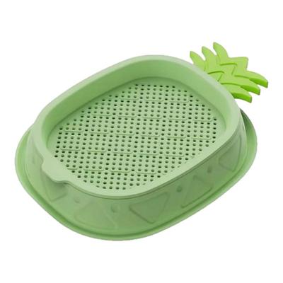 全网热销100W+!无土水培猫草套装