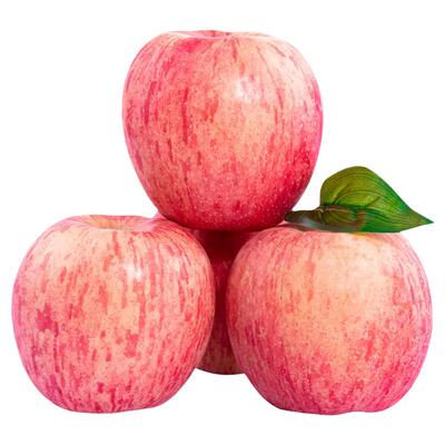 鲜思妙甘肃高原秦脆苹果