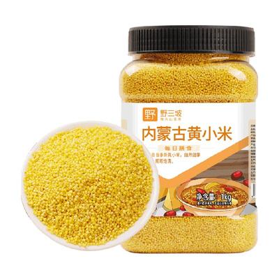 野三坡内蒙古黄小米