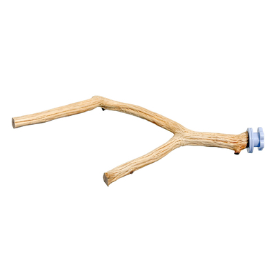 青松宠鹦鹉花梨木站杆