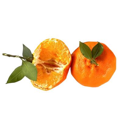 四川甘平-柑橘皇后-商超品质