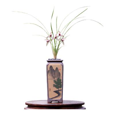高端老种莲瓣兰心心相印带花浓香
