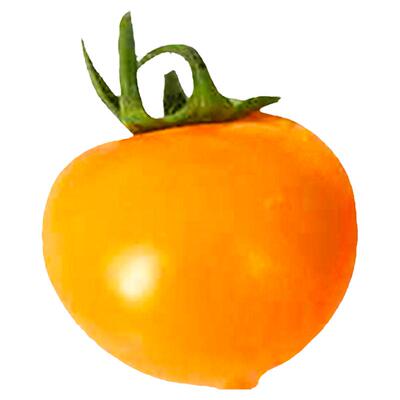 传家宝樱桃番茄种子高产超甜多汁