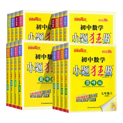 【江苏专用】初中小题狂做