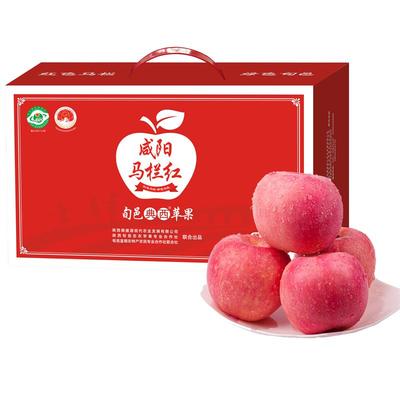 旬邑马栏红典西富士苹果脆甜