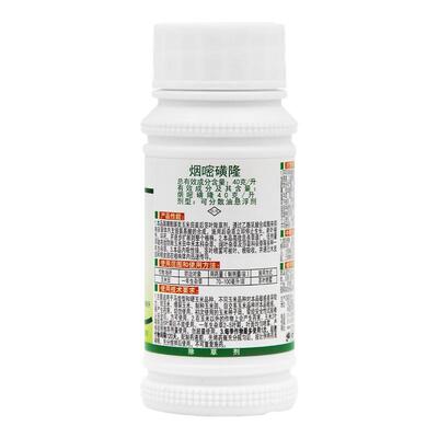 中保玉京香40克/升烟嘧磺隆玉米地苗后除杂草玉米田除草剂