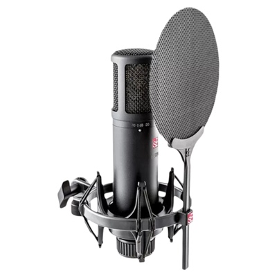 SE2200大振膜电容话筒录音直播