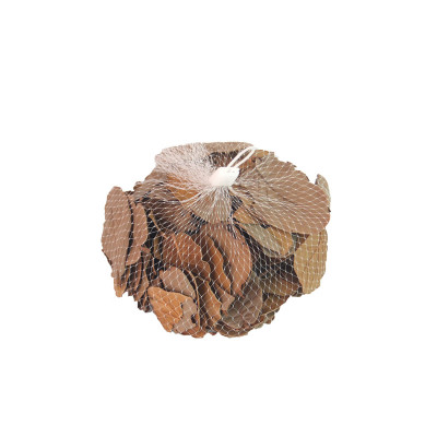 diy树叶植物背景幼儿园拼贴画