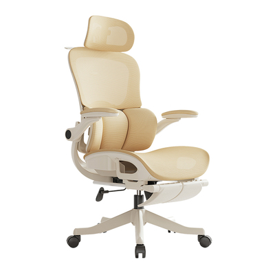 【女生专属】人体工学腰学电脑椅