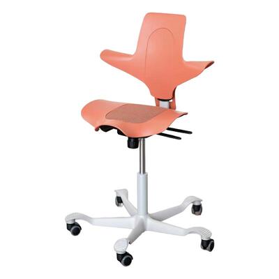 Omind骑马椅人体工学电脑椅儿童学习椅护腰座椅办公椅电竞椅子