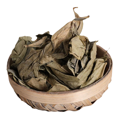 康美药业旗舰店官网 龙脷叶 10g 中药材饮片龙舌叶龙味叶牛广东