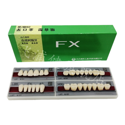 牙科山八合成塑钢日本全口义齿