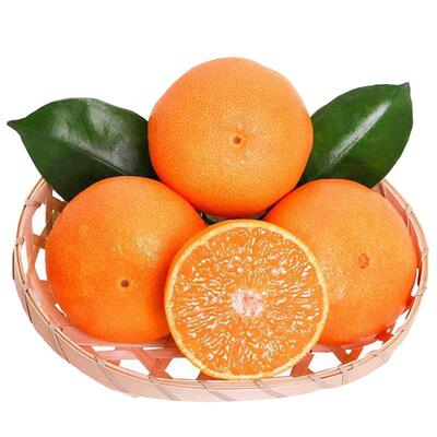 果园直发正宗象山红美人柑橘桔子果冻橙新鲜高端孕妇儿童水果礼盒