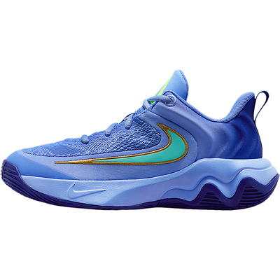 Nike/耐克正品2025秋季款GS女子大童耐磨减震篮球鞋IH7664-400