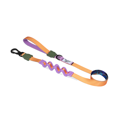 ZeeDog锐步联名狗狗减震牵引绳犬