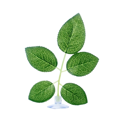 诺摩仿真植物叶子喂水模拟自然