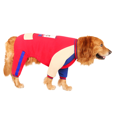 秋田边牧杜宾金毛胖狗中大型犬