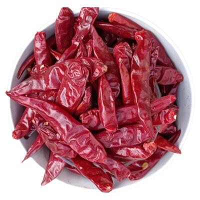 特辣干辣椒巨辣整个小红椒