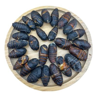 东北特产柞蚕蛹嫩皮刀伤蚕蛹黑蚕蛹速冻新鲜鲜活速冻蚕蛹油炸即食