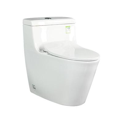 TOTO连体式马桶CW636REB