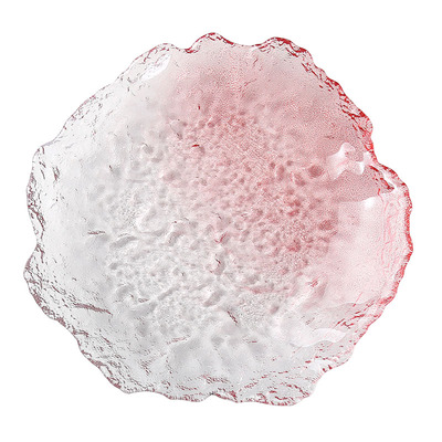 日式风格玻璃网红现代茶几水果盘