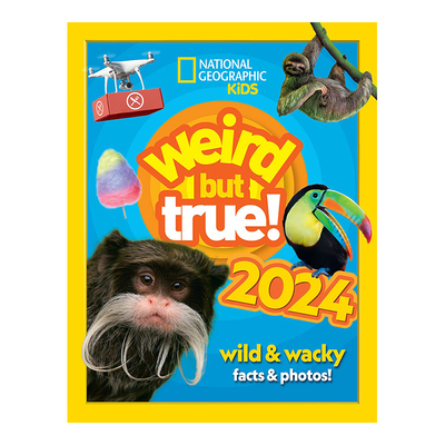 【安古兰漫画节终身成就奖得主R