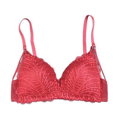 高品质无钢圈性感蕾丝V型文胸218L81746聚拢上托显大美背内衣胸罩