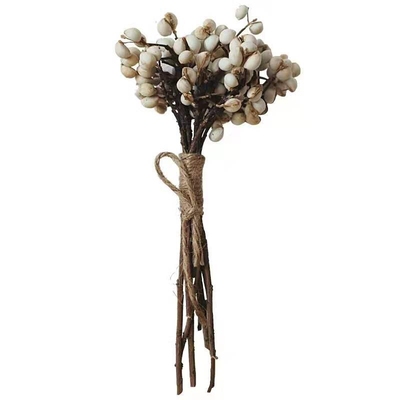 ins小白果花束天然树枝薏米乌桕
