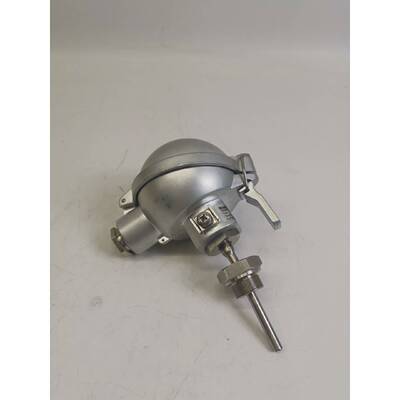 Rosemount 1PT 100B4 31169064 Temperatursensor