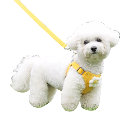 歌照狗狗牵引绳四点调节