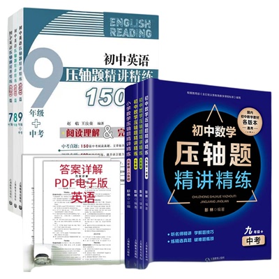 初中数学挑战压轴题精讲精练