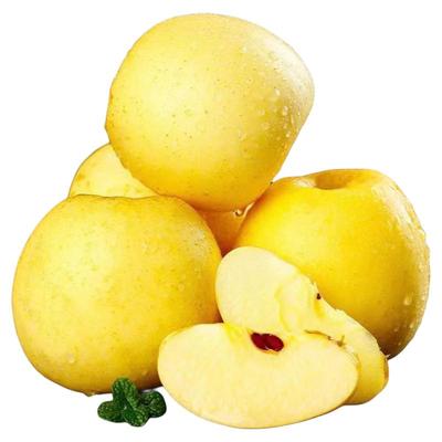 山东烟台黄金富士奶油富士苹果整箱孕妇水果脆甜新鲜白色牛奶包邮