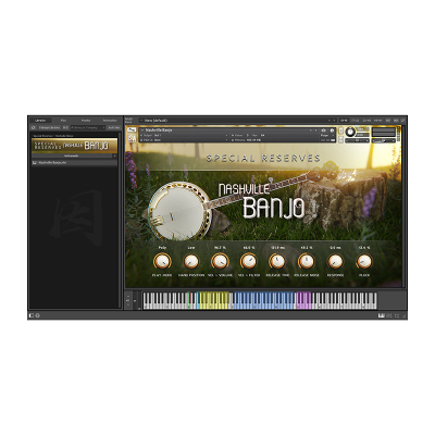 蓝草乡村民谣班卓琴音源