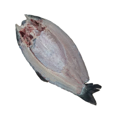 现杀大河螺蛳青鱼非养殖杀后净重