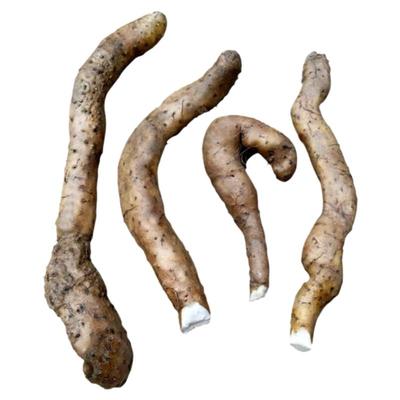 贵州大山土特产新鲜山药山菜包邮