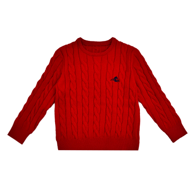 JAC梦想家童装儿童两色新年毛衣