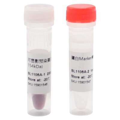 Biosharp白鲨 BL1106A 可显影预染蛋白Marker（13-154kDa） 250ul