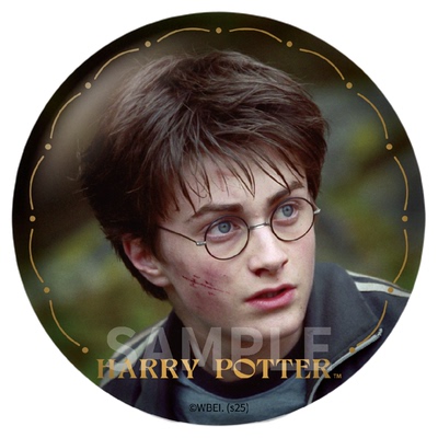 正版官谷哈利波特生日徽章