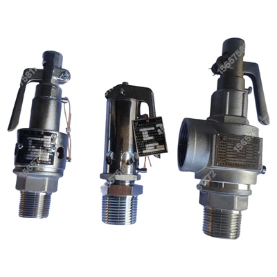 宁波甬安弹簧安全阀25mm
