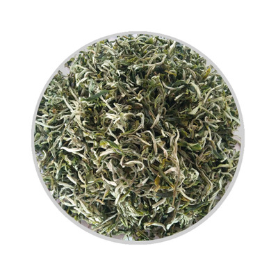 普洱绿茶生茶陇南煮灌灌茶叶