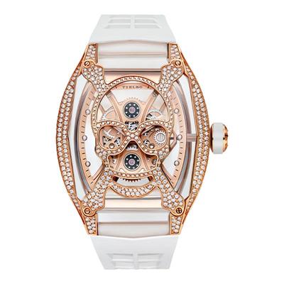 TIELBO/天舶官方正品机械手表