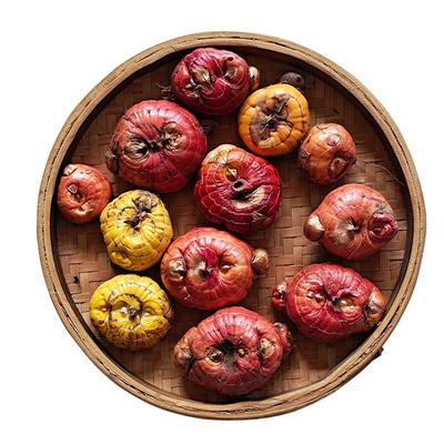 剑兰种球唐菖蒲种球十三太保易种花卉鲜花可作切花盆栽庭院多年生