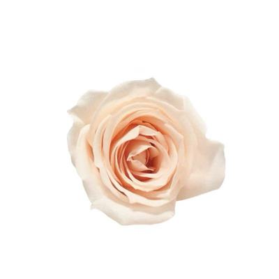 玫瑰生日告白礼物diy钥匙扣车挂