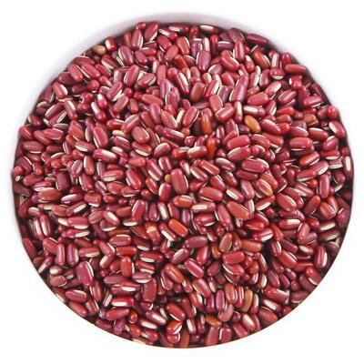 北纬4925年新货纯东北黑龙江有机红豆正宗天然长粒赤小豆400g