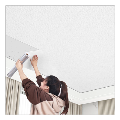 房顶遮丑神器天花板贴纸