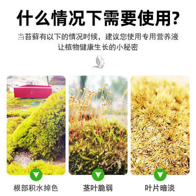 苔藓营养液专用肥盆栽微景观造景绿植生根液体治干枯黄叶增绿肥料
