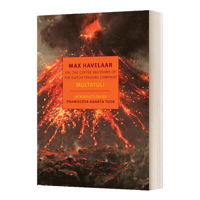 英文原版小说 Max Havelaar the Coffee Auctions of The Dutch Trading Company马格斯·哈弗拉尔 荷兰贸易公司的咖啡拍卖 英文版