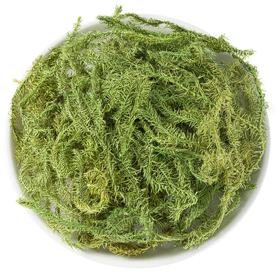 野生伸筋草500克干净无杂新货