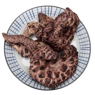 云南楚雄黑虎掌菌高原珍品