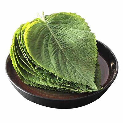 新鲜紫苏叶海鲜去腥食用包饭烤肉
